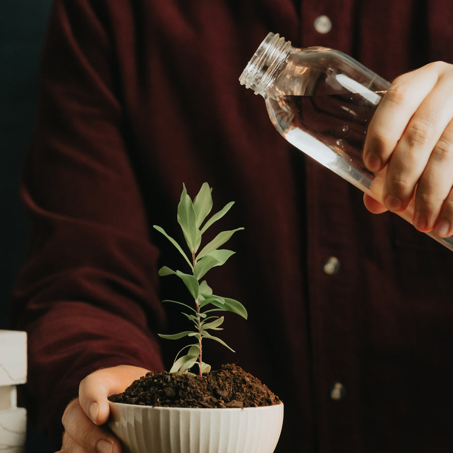 HYDRATION is KEY – ANIGAV